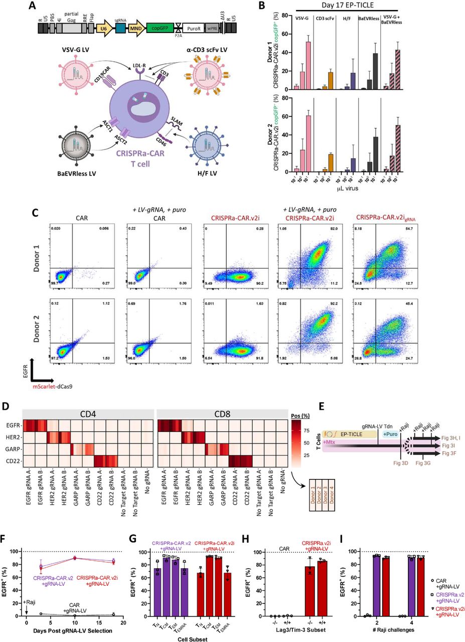 Grna Sequences | New England Biolabs | Bioz