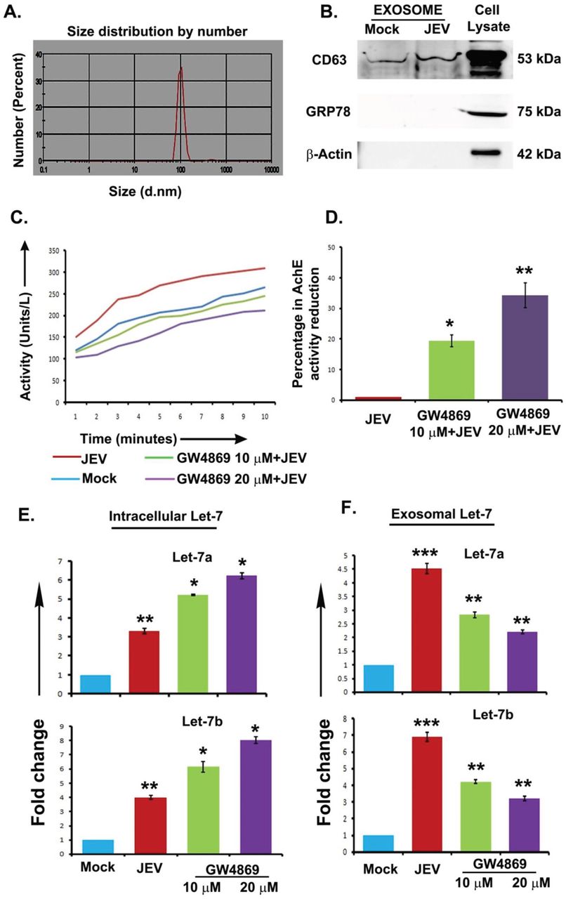 Jev Infected N9 Cells | Exosome Diagnostics | Bioz