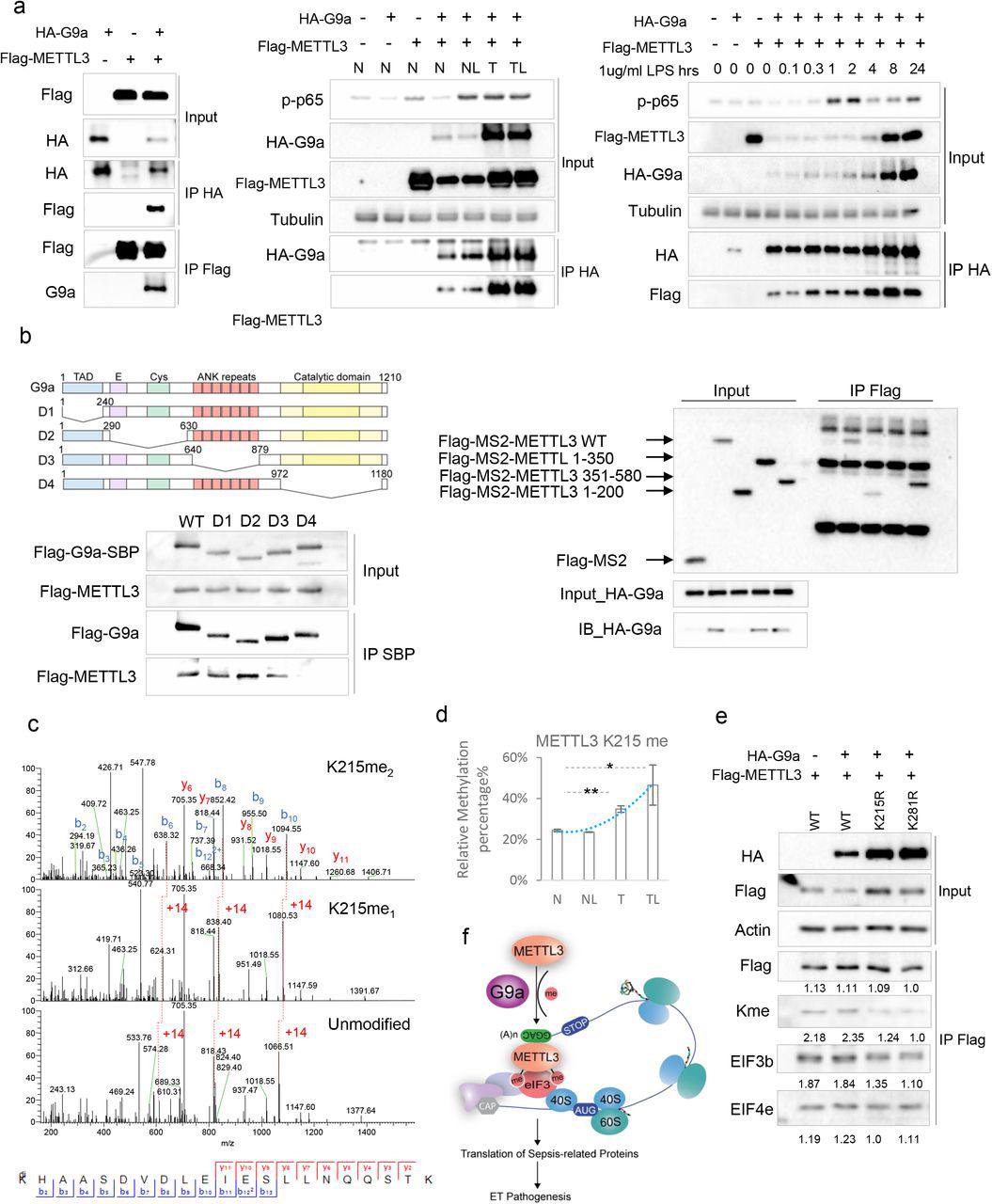 Hek293 Cd14 Md2 Tlr4 Cells | InvivoGen | Bioz