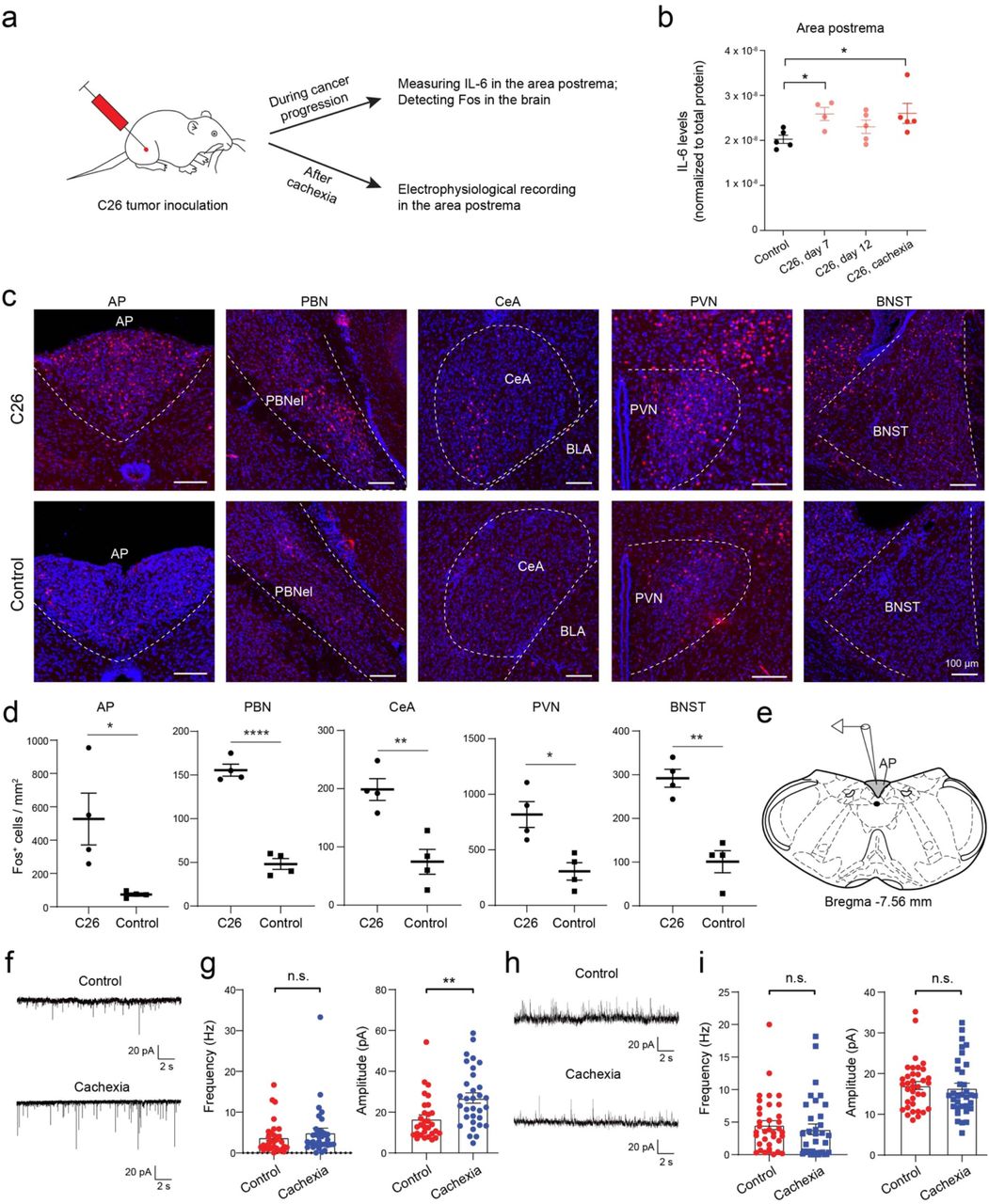 Invivomab Rat Anti Mouse Il 6 | Bio X Cell | Bioz