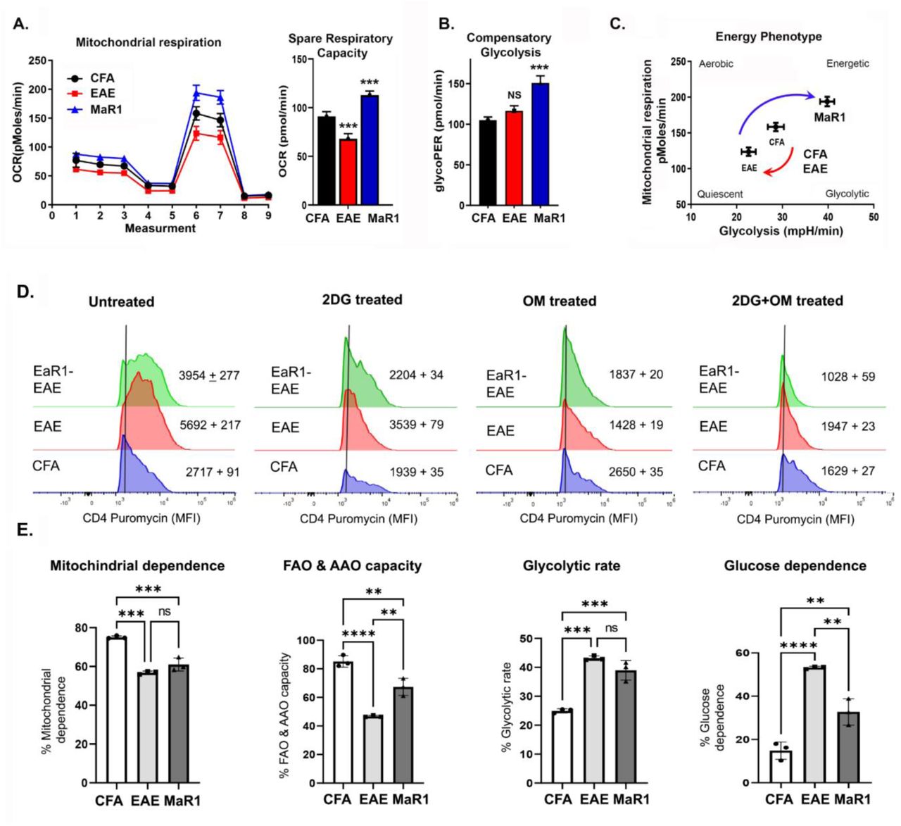 Bv421 | Biolegend | Bioz