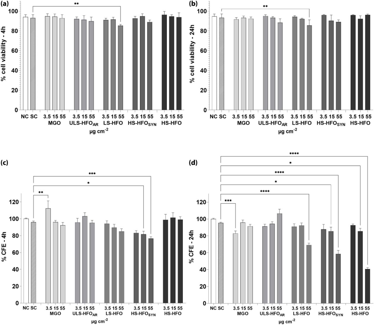 A549 Cells | ATCC | Bioz