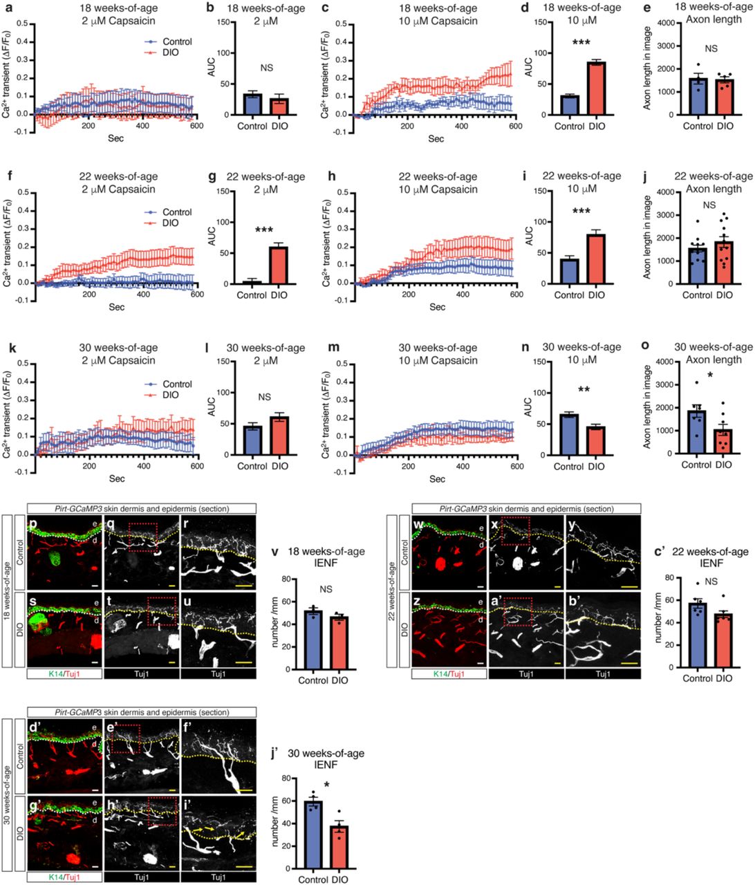 Tuj1 | Covance | Bioz