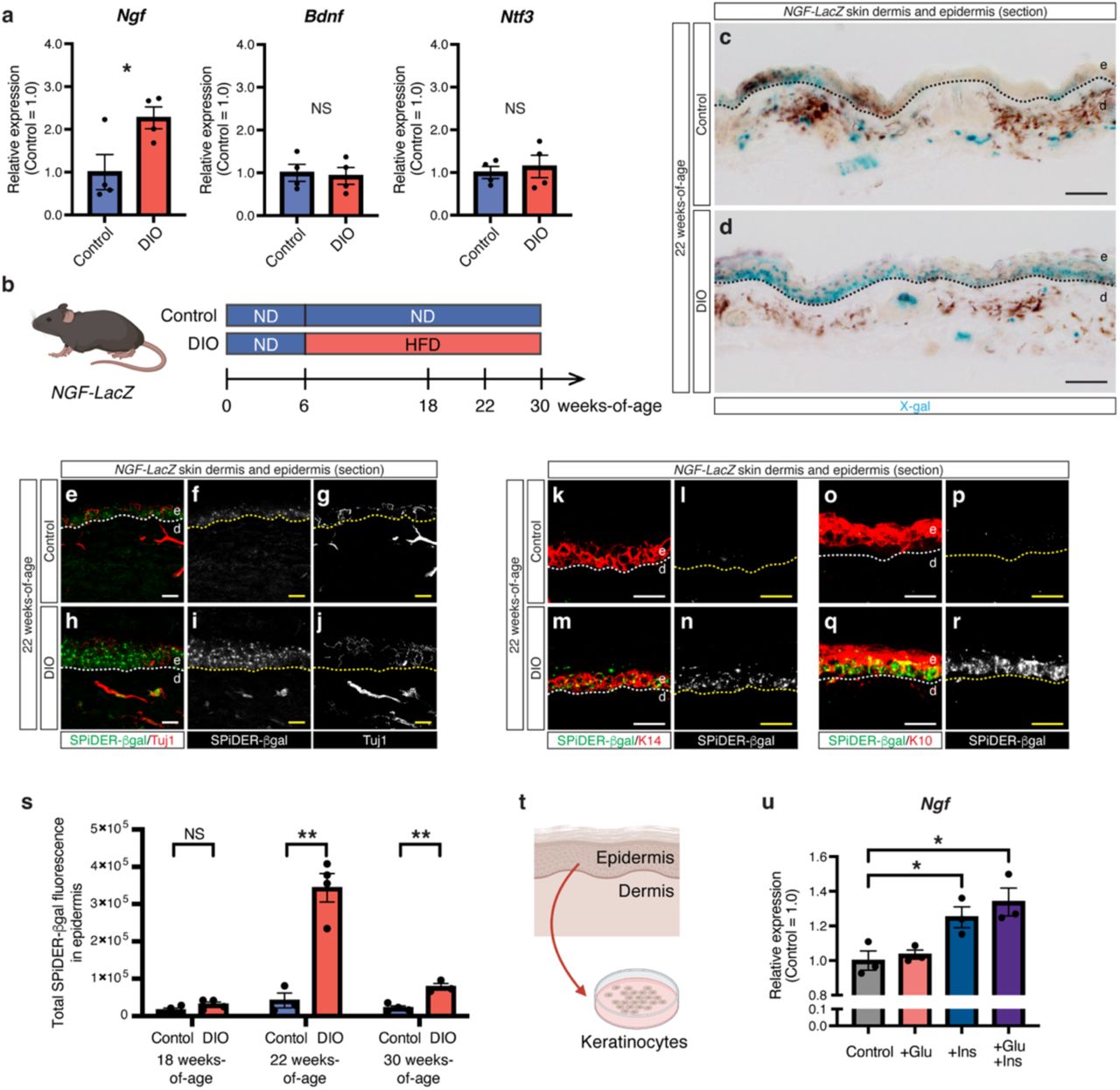 Tuj1 | Covance | Bioz