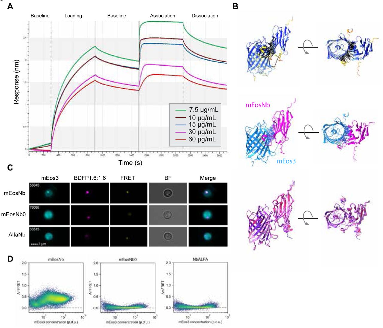 Octet Biolayer Interferometry | Fortebio | Bioz