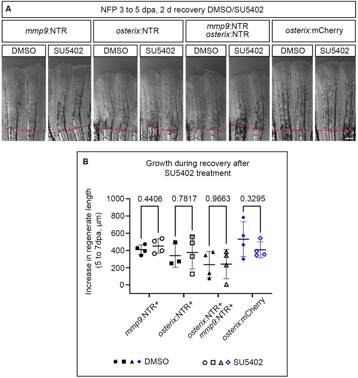 Vehicle Control Dimethylsulfoxide Dmso | Millipore | Bioz