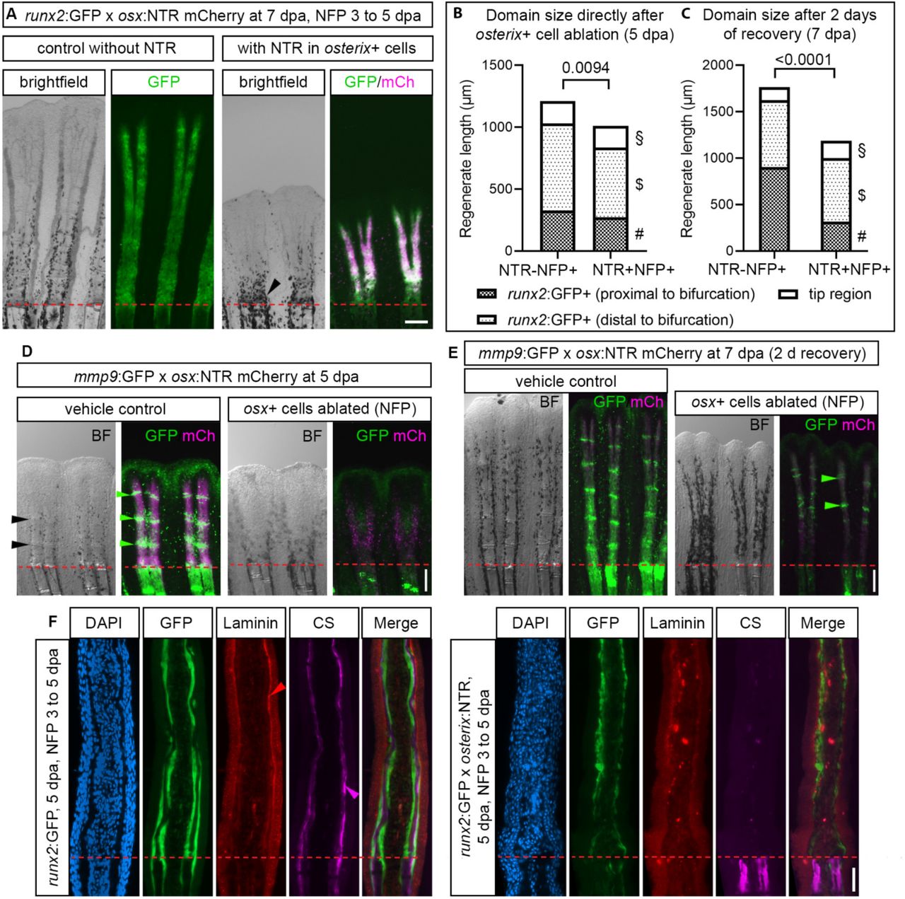 Vehicle Control Dimethylsulfoxide Dmso | Millipore | Bioz