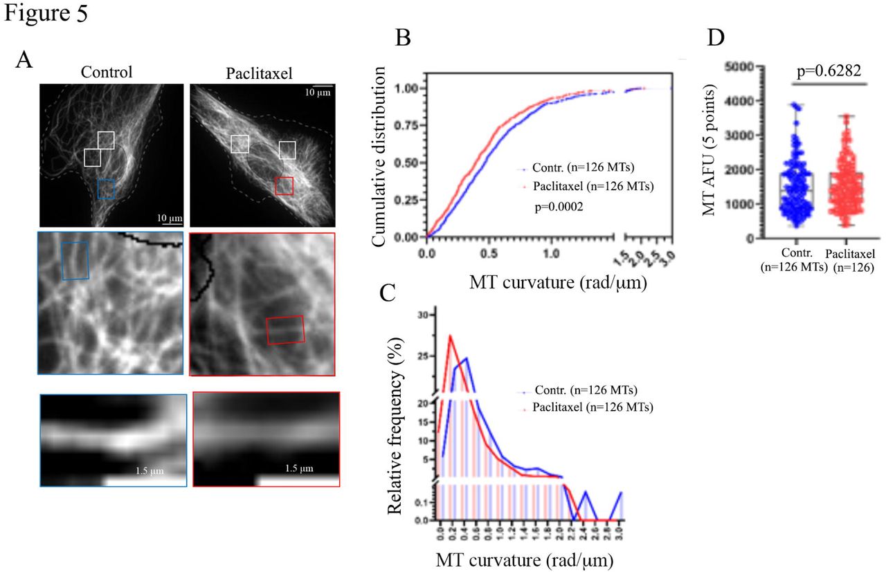 Tubulin Tracker Deep Red | Thermo Fisher | Bioz