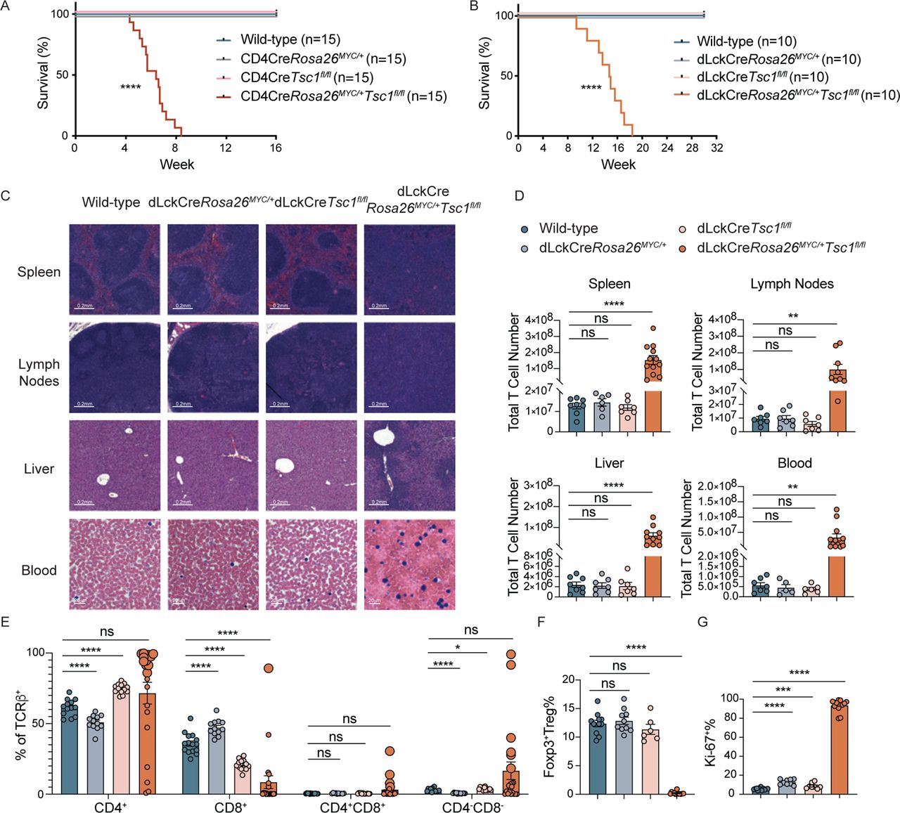Cd4cre | The Jackson Laboratory | Bioz