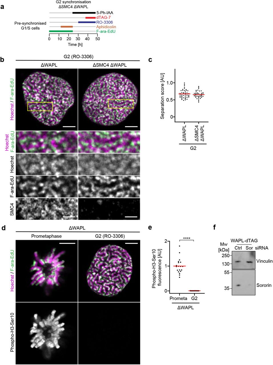 Ro 3306 | sigma aldrich | Bioz