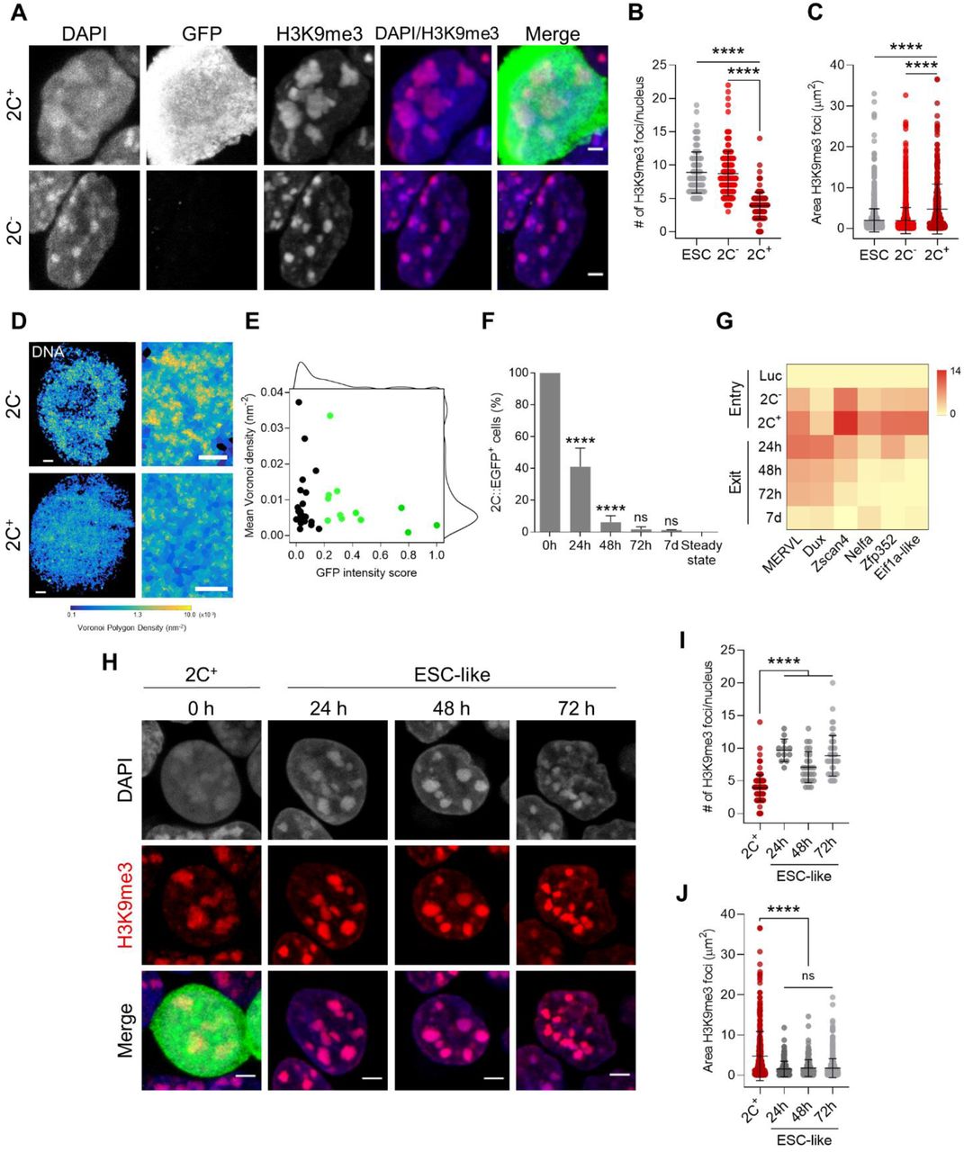 Rabbit Anti H3k9me3 | Abcam | Bioz
