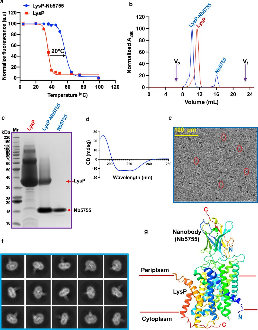 Gfp | Millipore | Bioz