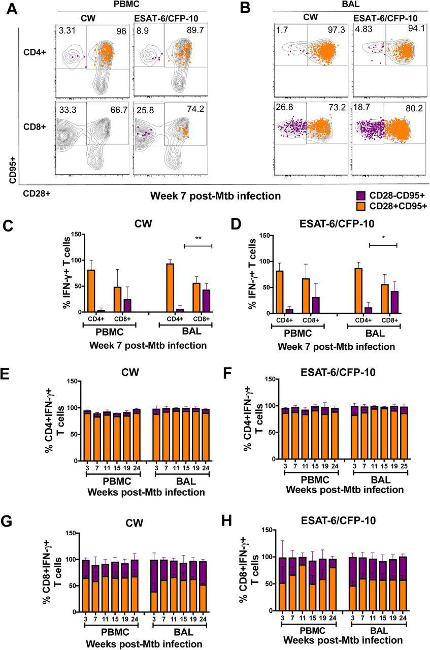 Mtb Cw Antigens | BEI Resources | Bioz