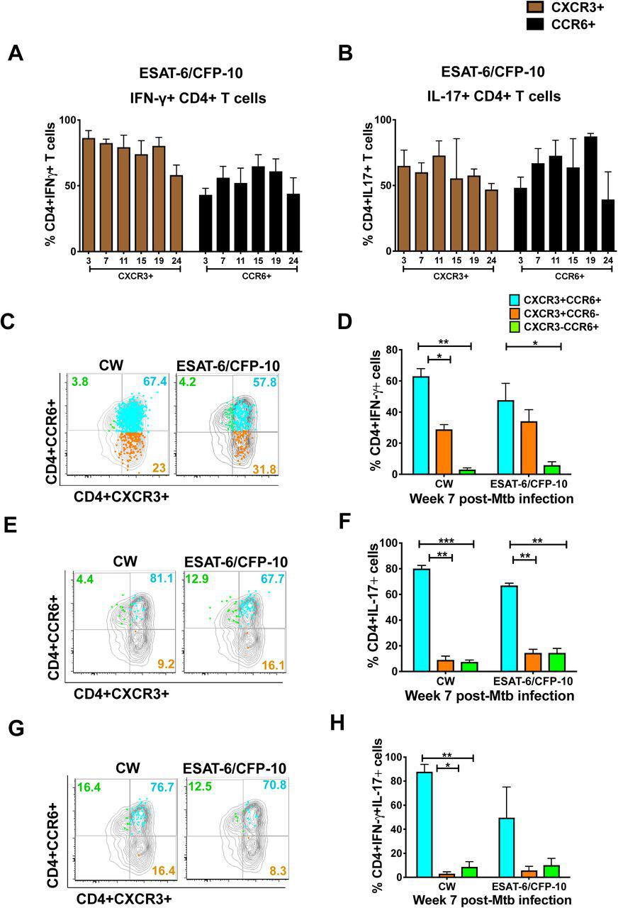 Mtb Cw Antigens | BEI Resources | Bioz
