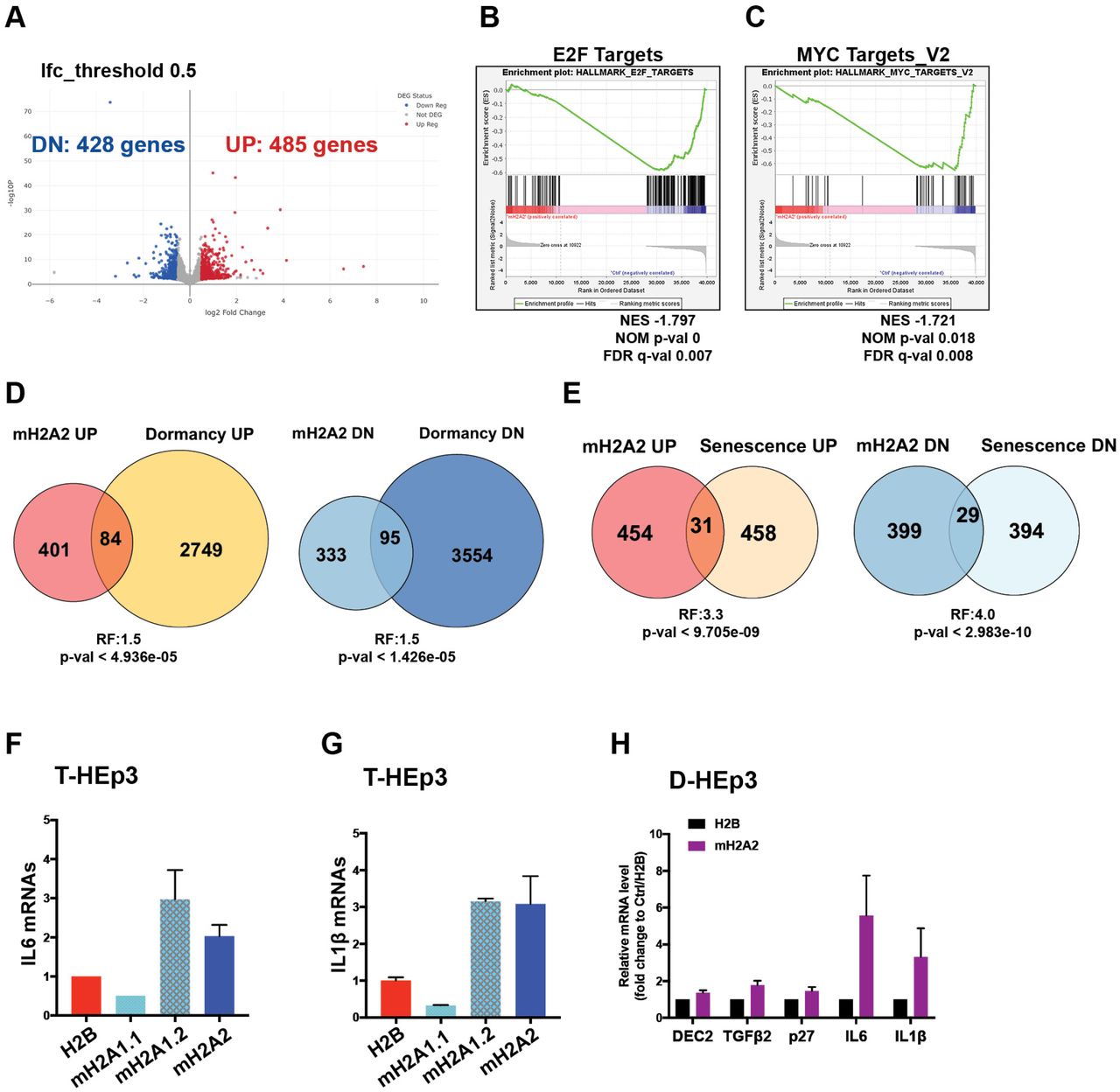 Hep3 Cells | Thermo Fisher | Bioz