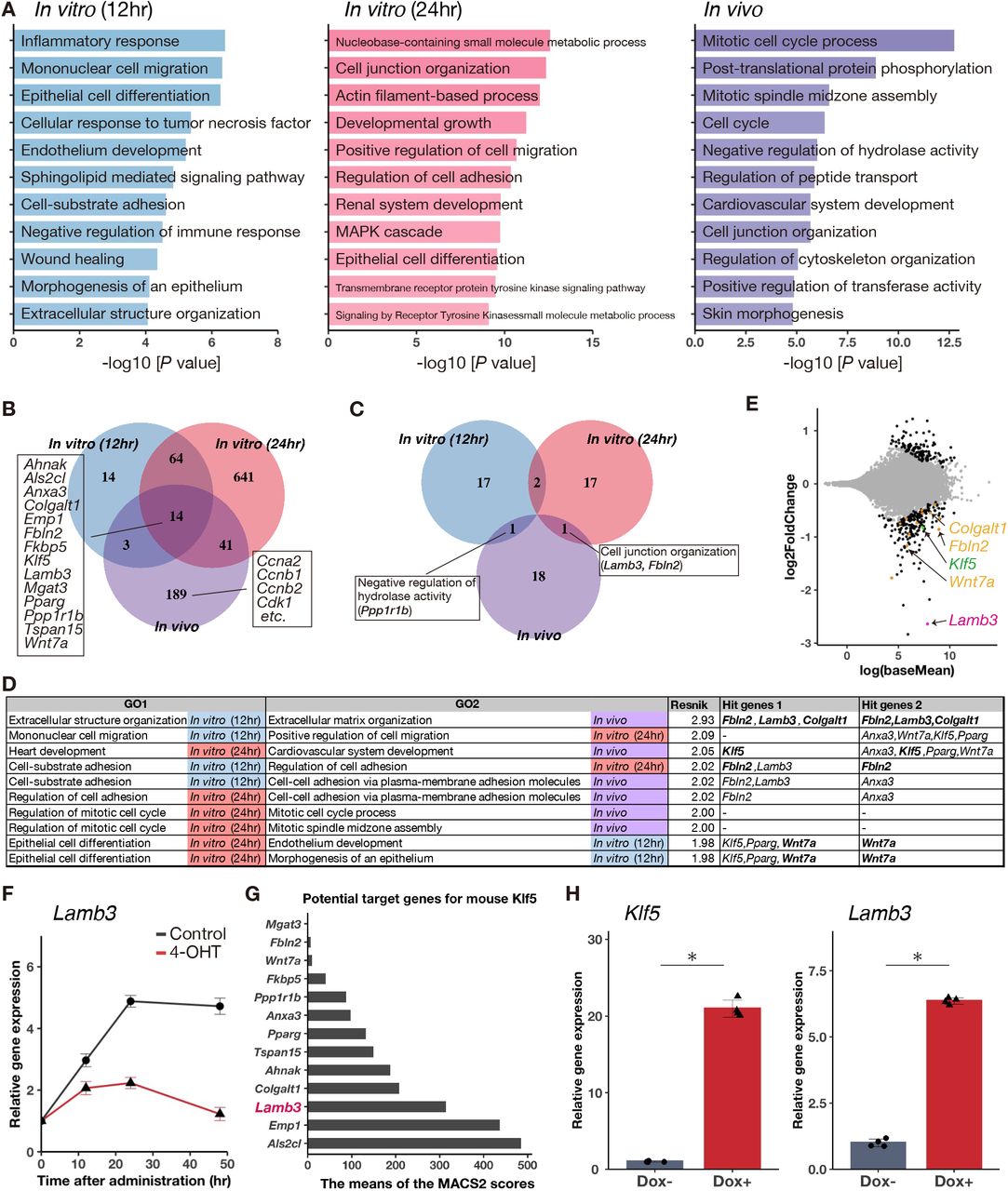 Ddc Model | Bio-Serv | Bioz
