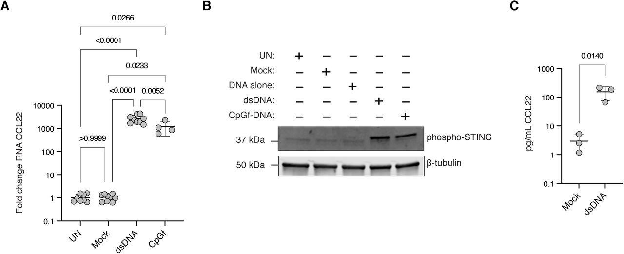 Response To Dsdna | ATCC | Bioz