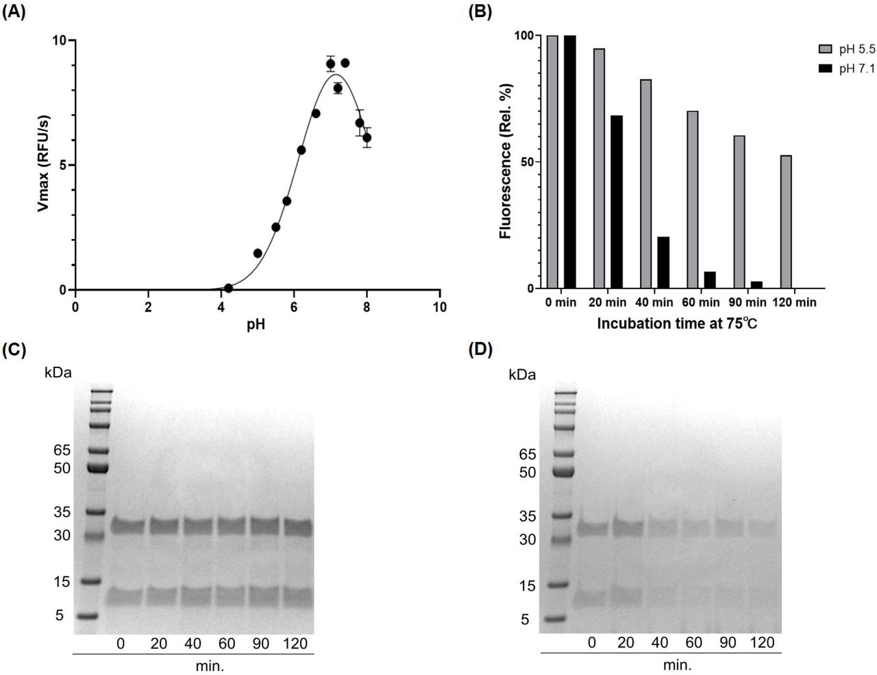 Enzchek Tm Protease Assay Kit | Thermo Fisher | Bioz