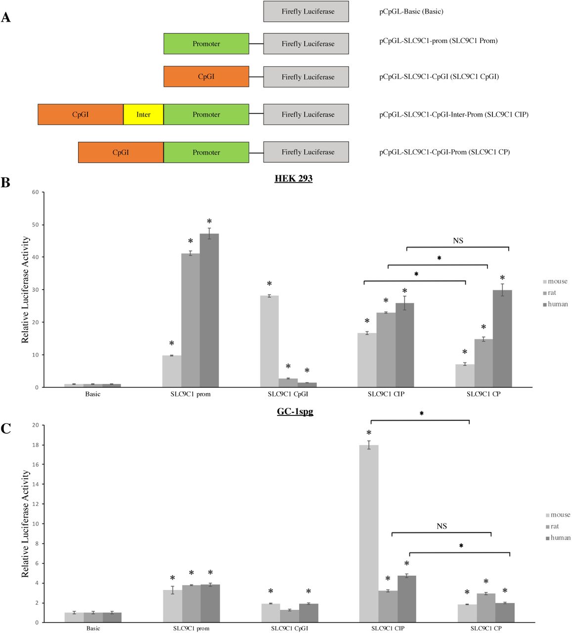 Prl Tk Expressing Renilla Luciferase | Promega | Bioz