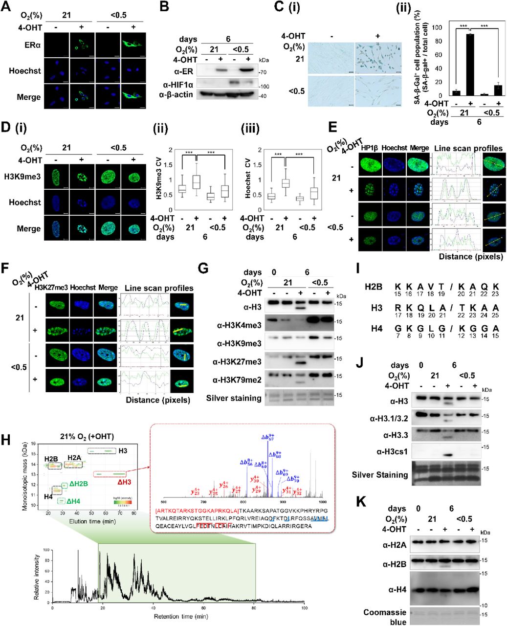 Imr90 Fibroblast Cells | atcc | Bioz