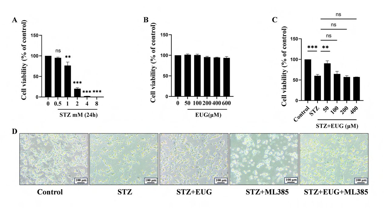 Cell Lines Min6 Cells | ATCC | Bioz