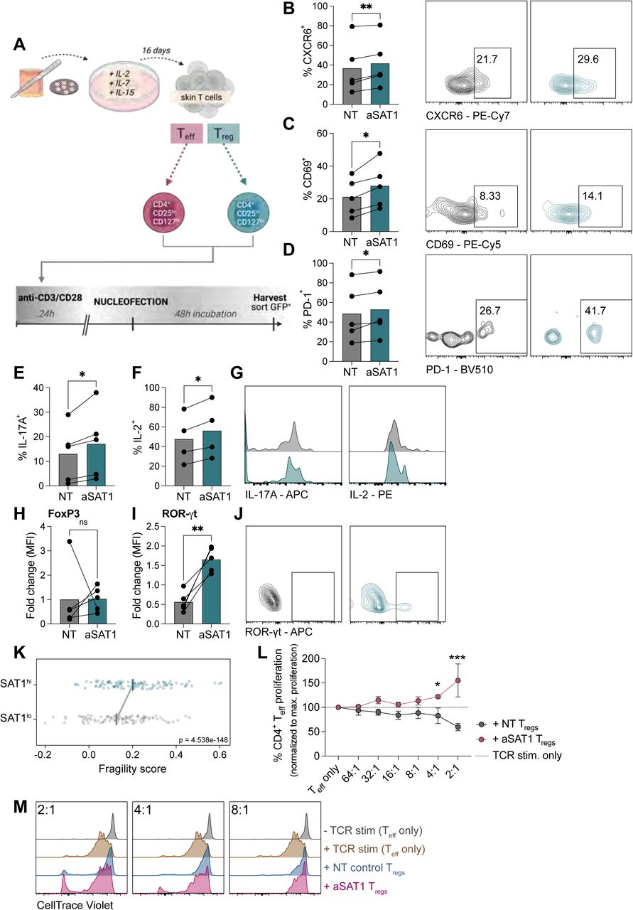 Cd4 Cd25 Regulatory T Cell Isolation Kit | Miltenyi Biotec | Bioz