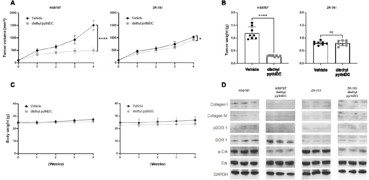 Hs578t Cell Lines | atcc | Bioz