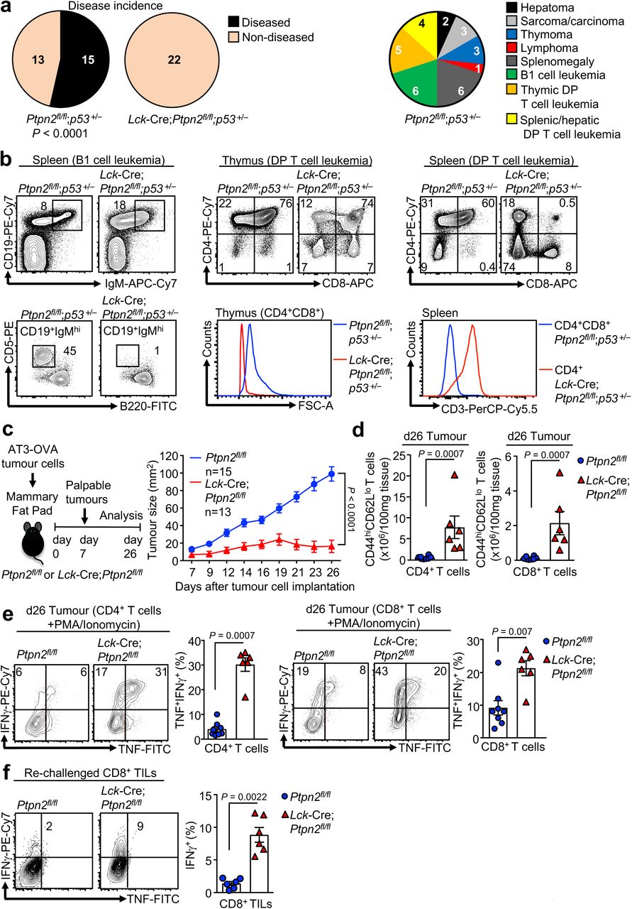 Intracellular Staining For Cd4 | BioLegend | Bioz