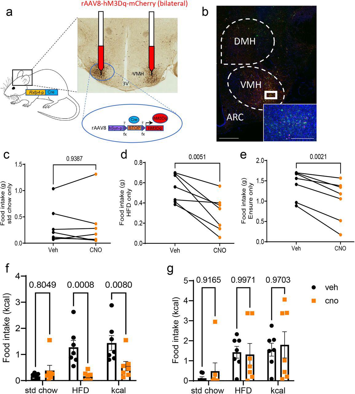 Aav Dio Chr2 Mcherry | Addgene inc | Bioz