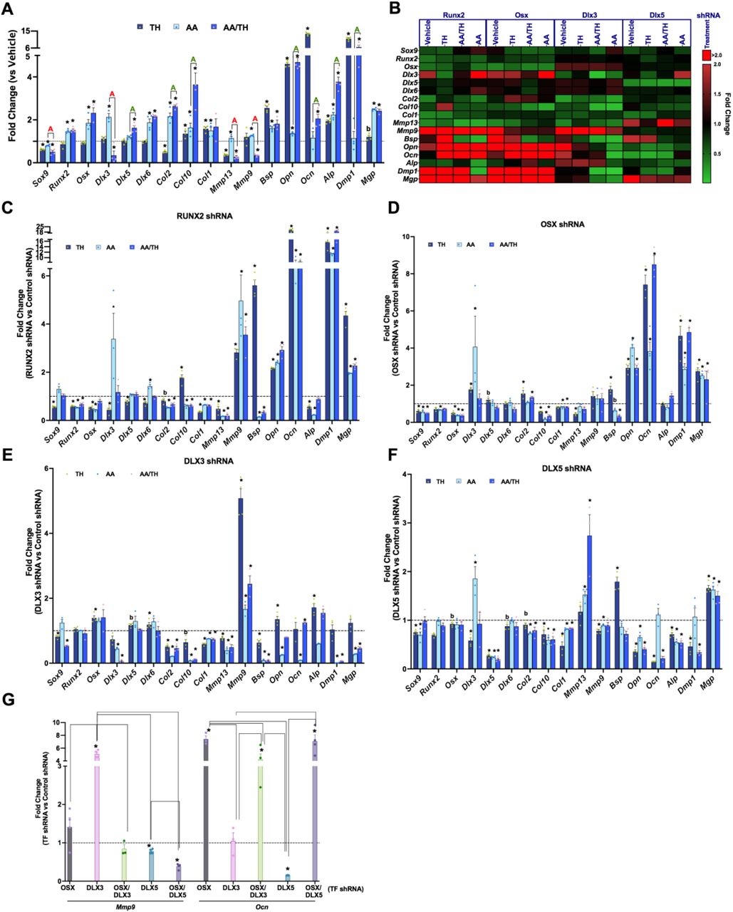 Atdc5 Chondrocytes | atcc | Bioz