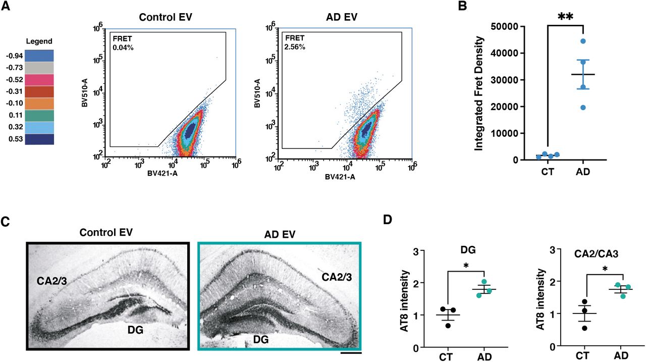Tau Rd P301s Fret Biosensor Cells | ATCC | Bioz