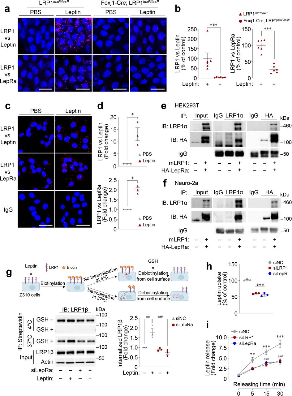 Streptavidin Beads | Thermo Fisher | Bioz