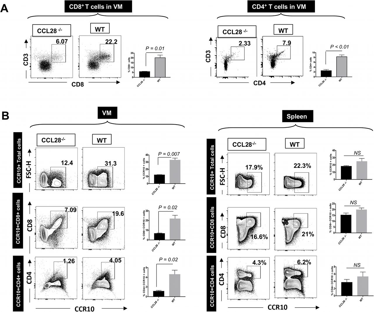 Female C57bl 6 B6 Wild Type Mice | The Jackson Laboratory | Bioz