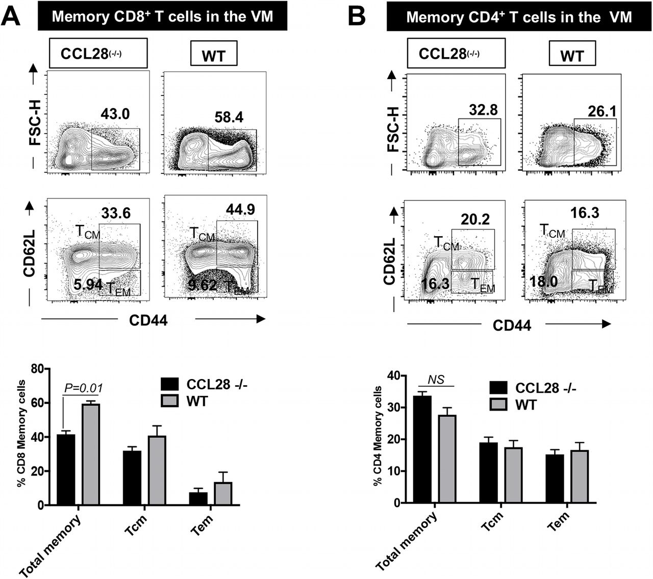 Female C57bl 6 B6 Wild Type Mice | The Jackson Laboratory | Bioz