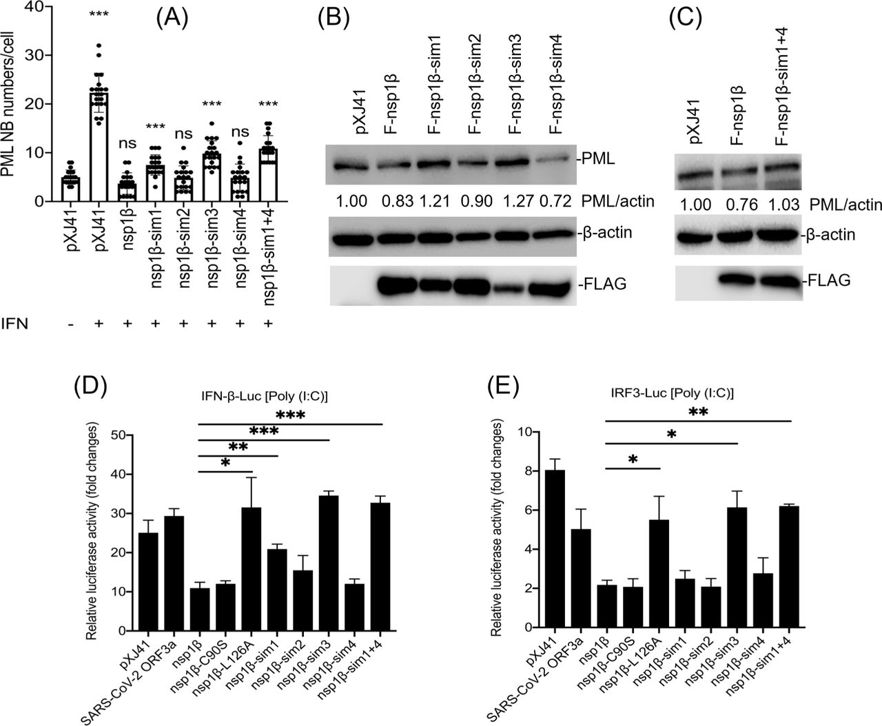 Renilla Luciferase Plasmid Prl Tk | Promega | Bioz