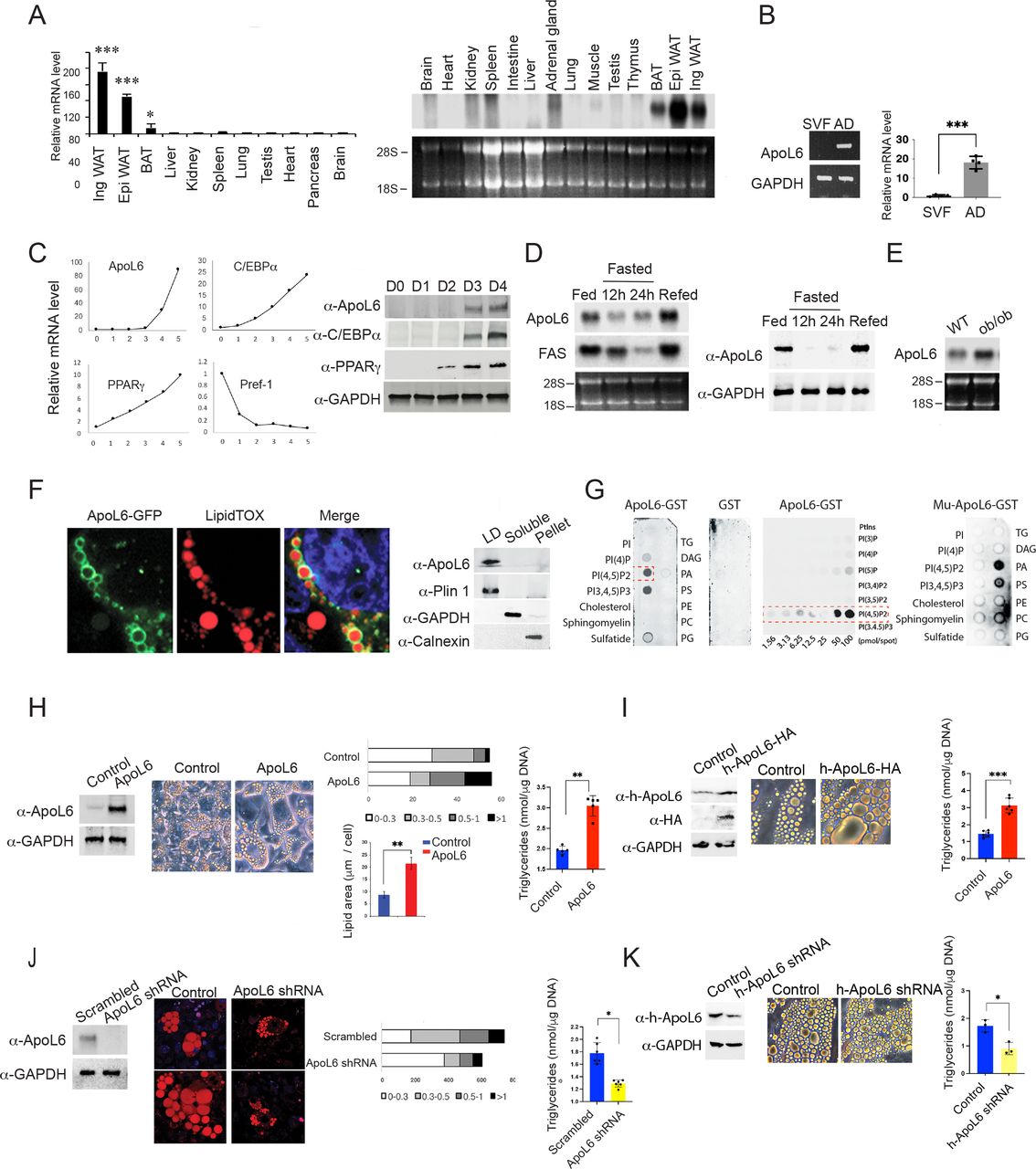Lv Max Lentiviral Packaging Mix | Thermo Fisher | Bioz