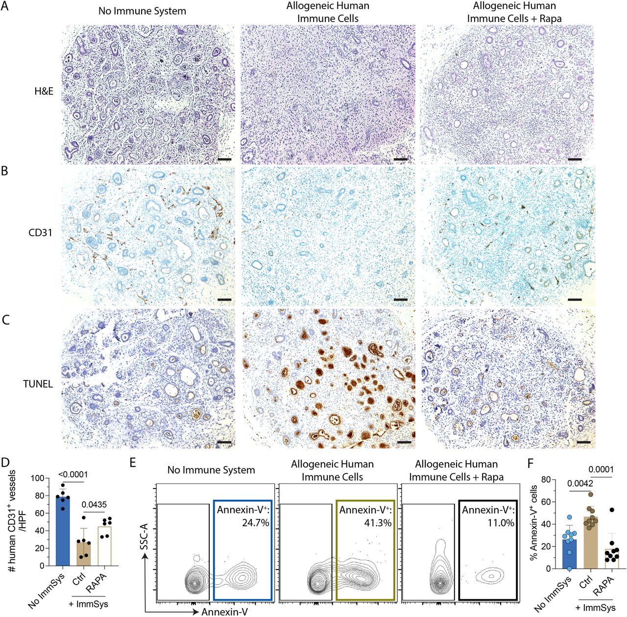 Monoclonal Mouse Anti Human Cd31 Hcd31 Antibody | Agilent technologies ...