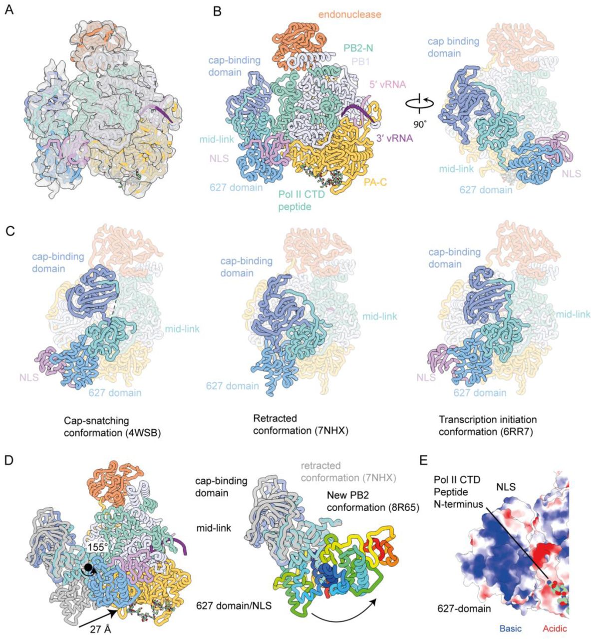 Biotinylated Pol Ii Ctd Mimic Peptide | Thermo Fisher | Bioz