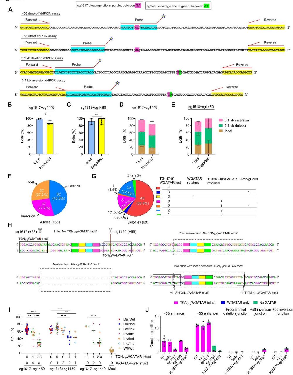 Qx200 Autodg Droplet Digital Pcr System | Bio-Rad | Bioz