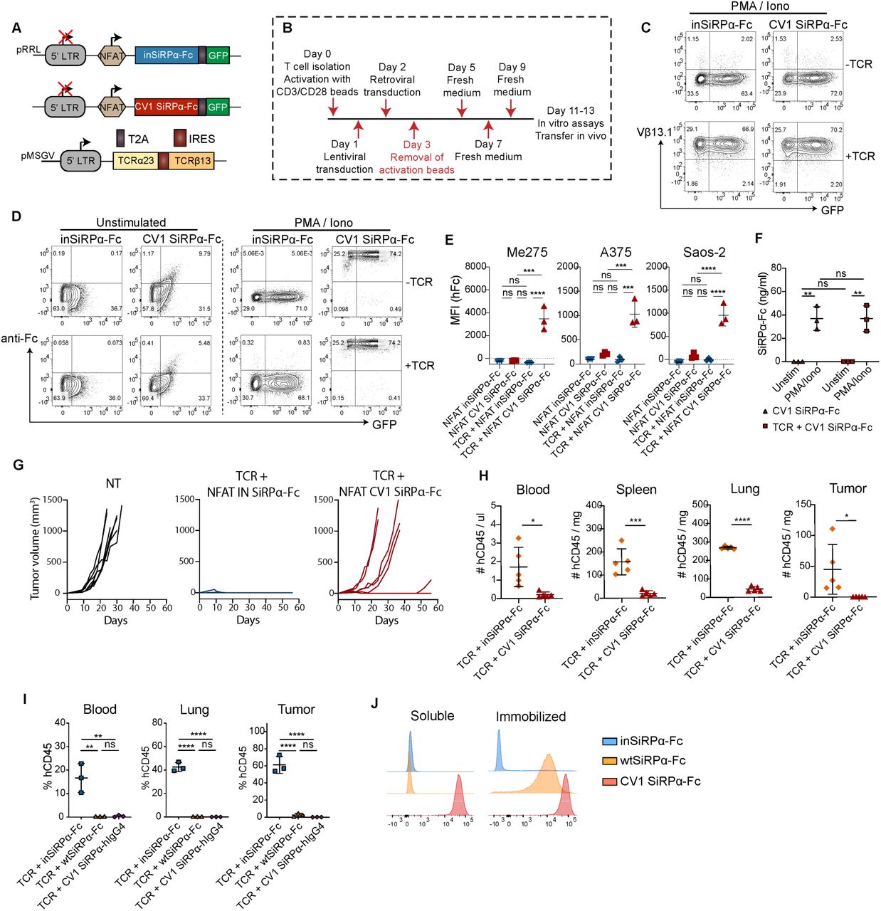 Pma Ionomycin | Thermo Fisher | Bioz