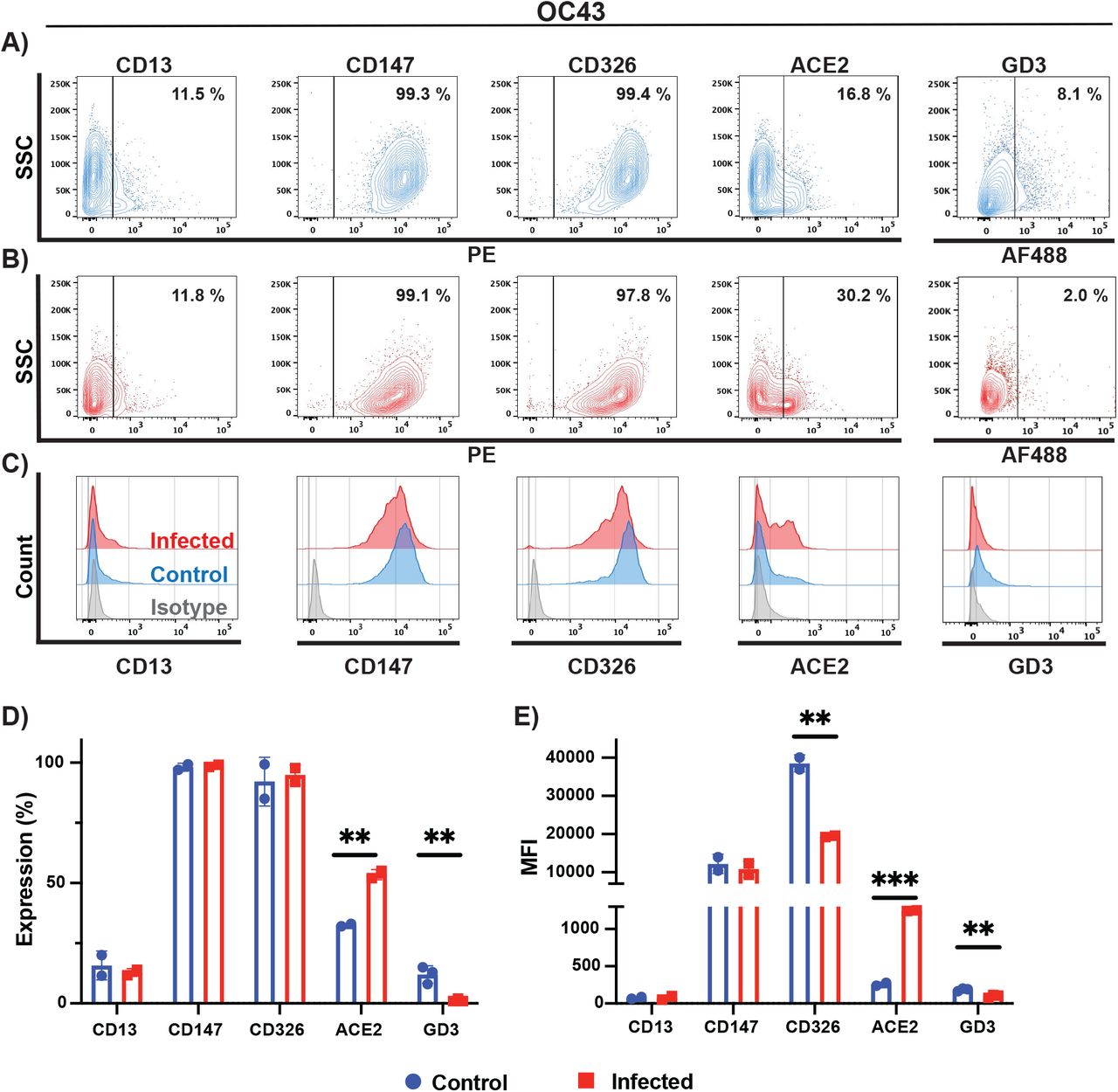 Stable Hek293 Cell Line | ATCC | Bioz