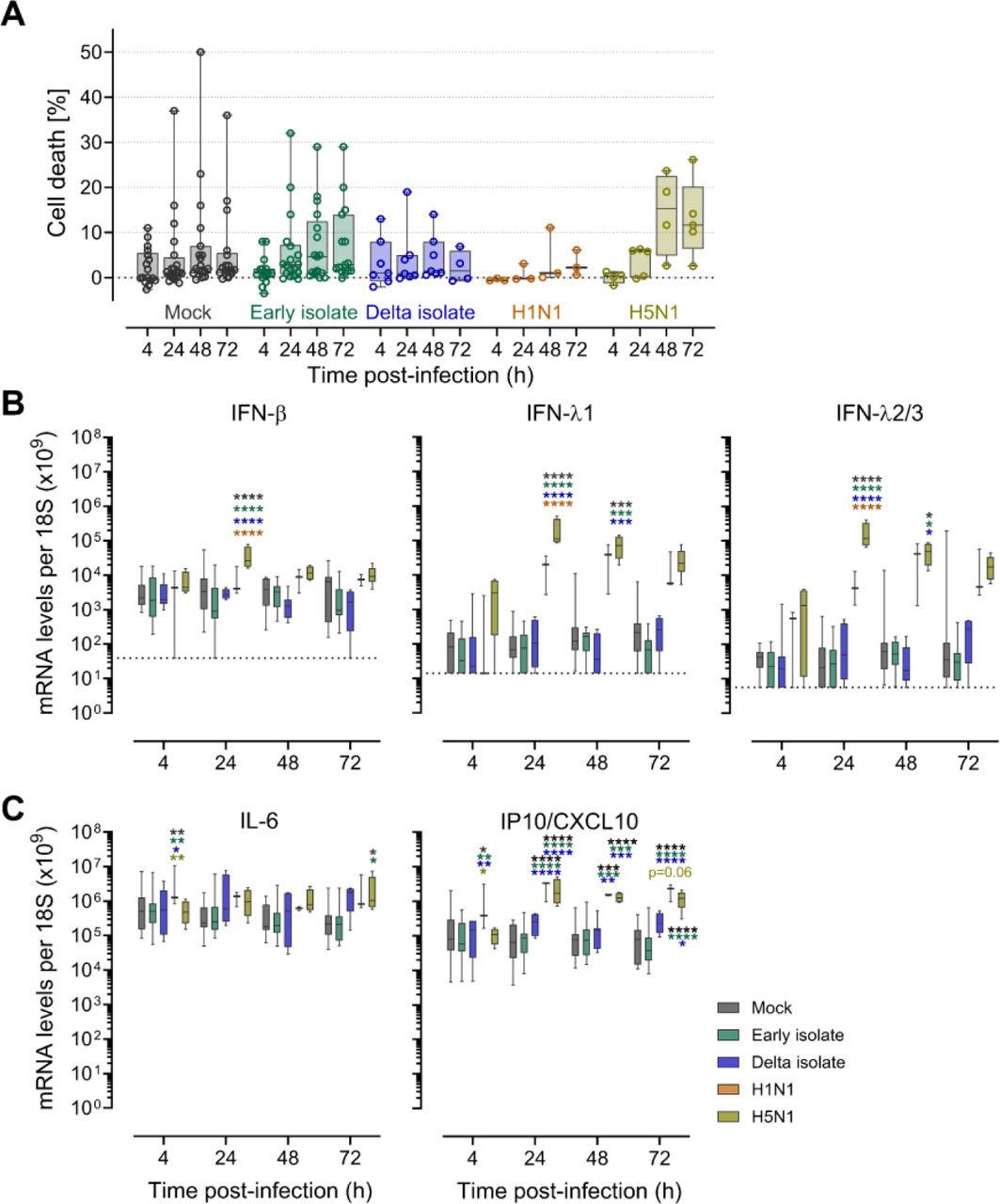 Lactate Dehydrogenase Ldh Release | Promega | Bioz