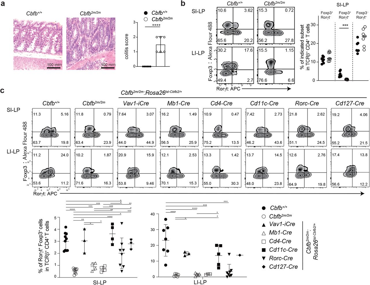 Rosa26 Tdtomato 007909 Mice | Jackson Laboratory | Bioz