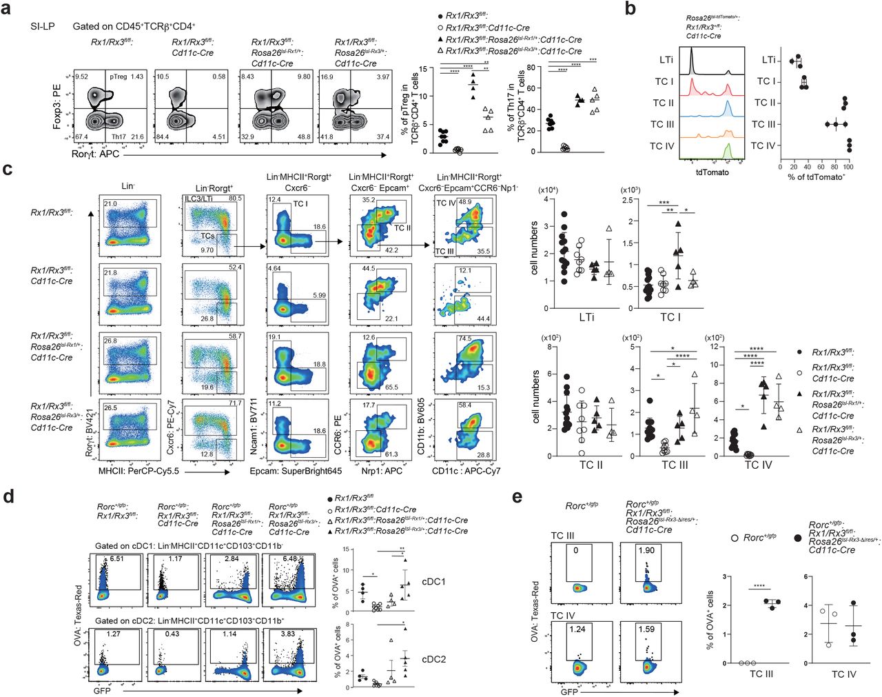 Rosa26 Tdtomato 007909 Mice | Jackson Laboratory | Bioz