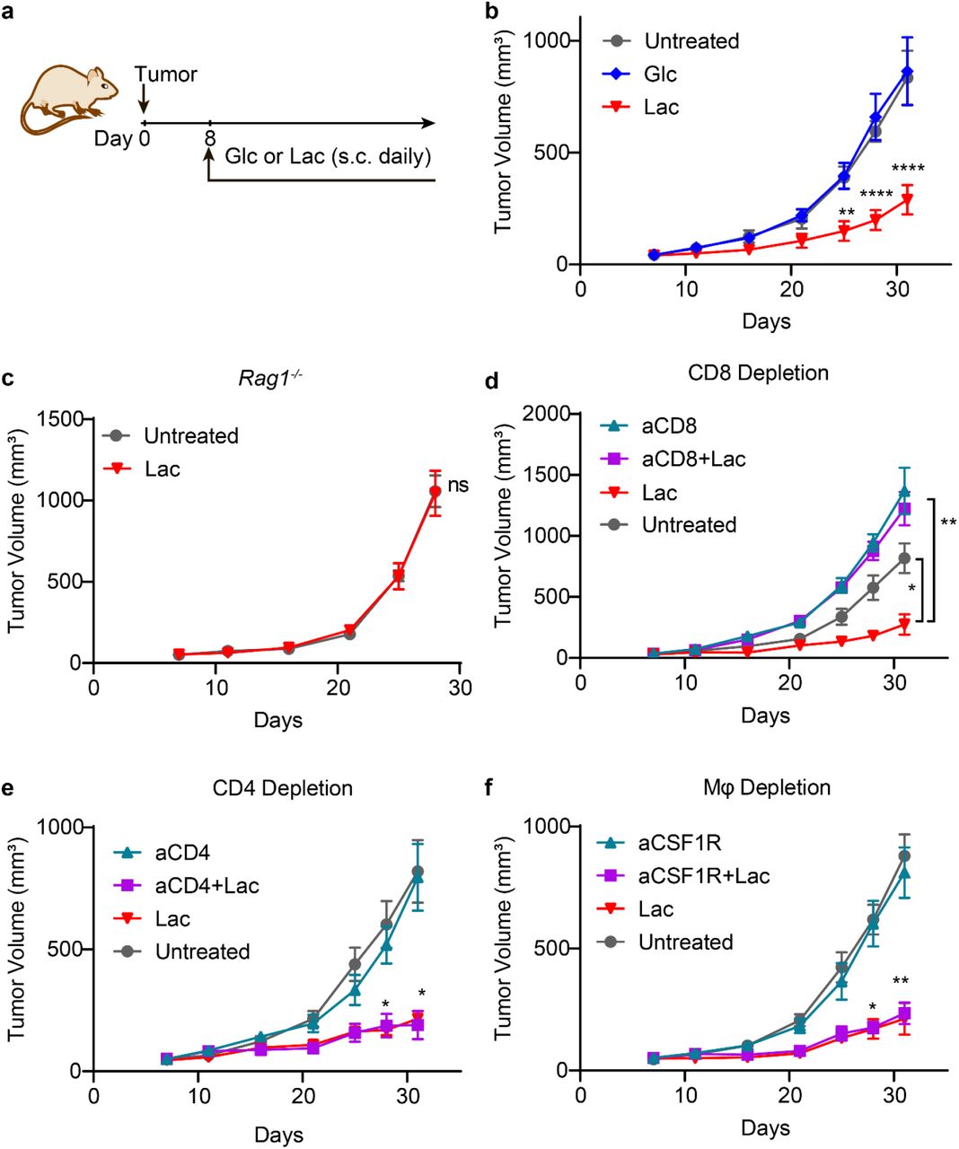 Mc38 Colon Adenocarcinoma Cell Line | ATCC | Bioz