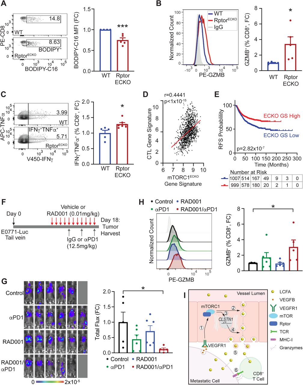 Bodipy Fl C16 | Thermo Fisher | Bioz