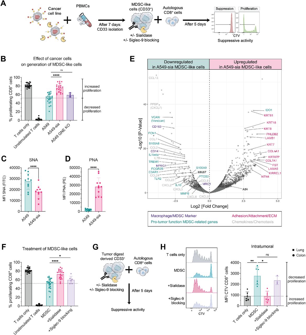 Cd8 T Cell Microbeads | Miltenyi Biotec | Bioz