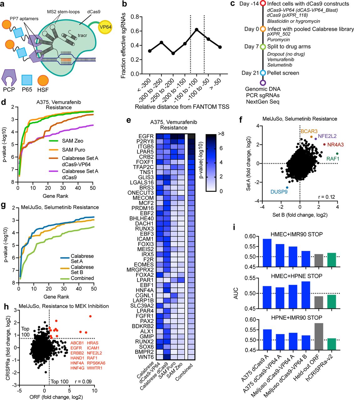Pp7 Stem Loops | Addgene inc | Bioz