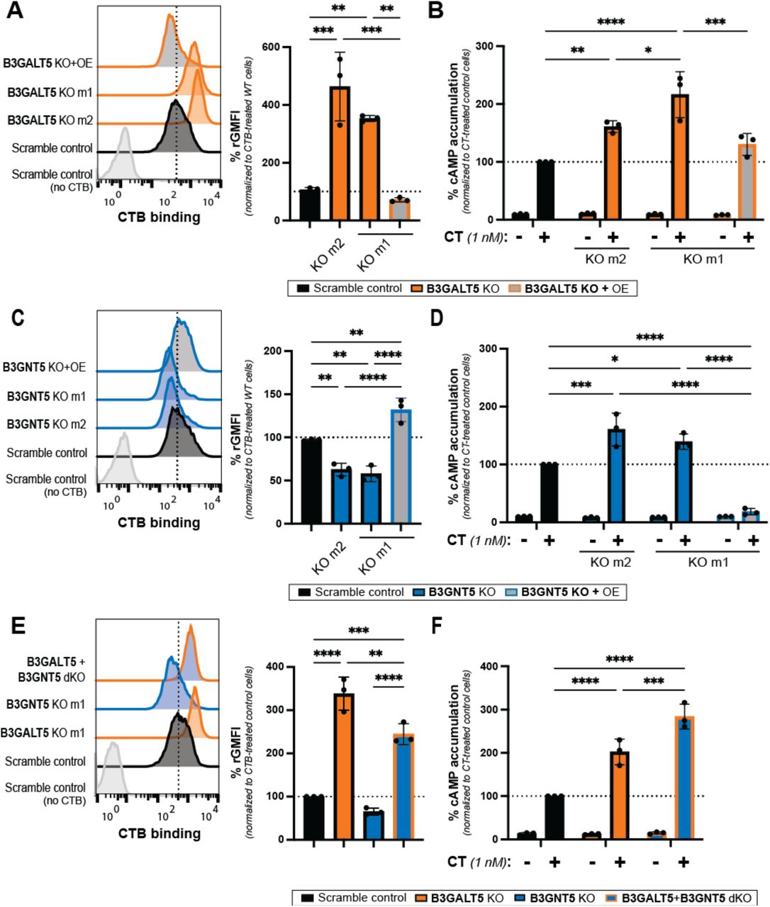 Camp Glo Assay Kit | Promega | Bioz
