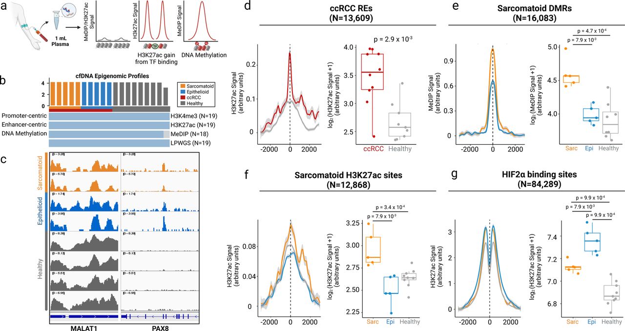 H3k4me3 | Thermo Fisher | Bioz